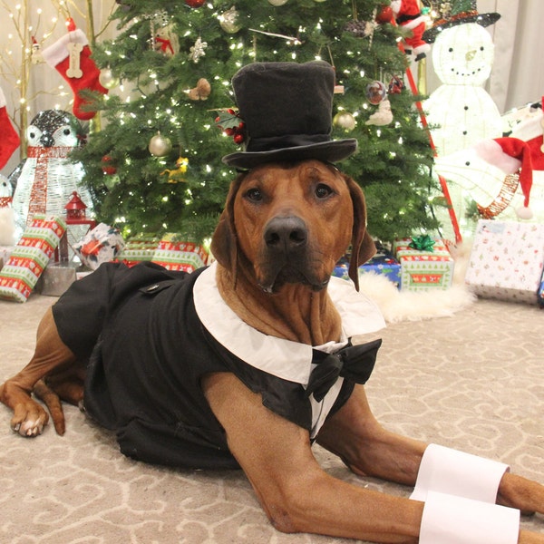 Aviator Dog Cap, Steampunk, Dog Costume, Halloween, Black, Copper, Hell ...