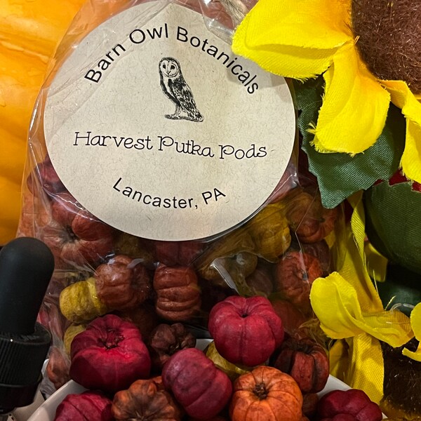 Harvest Putka Pods Multicolored Blend Scented/unscented. Handpicked and ...
