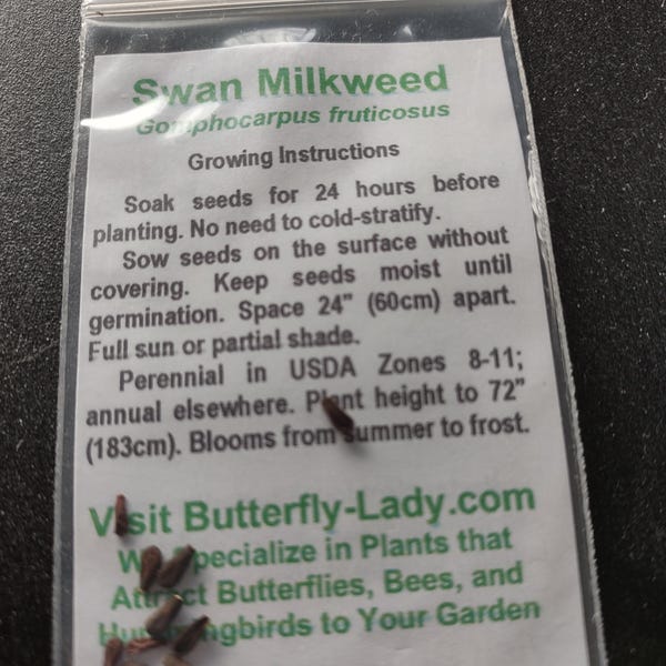Common Ironweed (vernonia Fasciculata) Packet of 25 Seeds With FREE ...