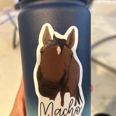 Fully Editable Horse Stall ID and Feeding Schedule Cards Canva - Etsy