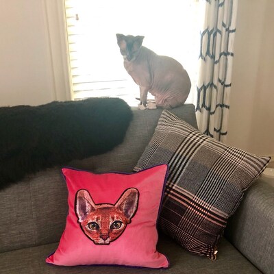 Traditional Self Tie Cat Rainbow Kitty Bow Tie Necktie - Etsy