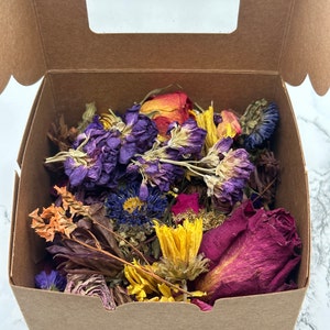 Woodland Spice Potpourri Foraged Primitive Blend Sachet - Etsy