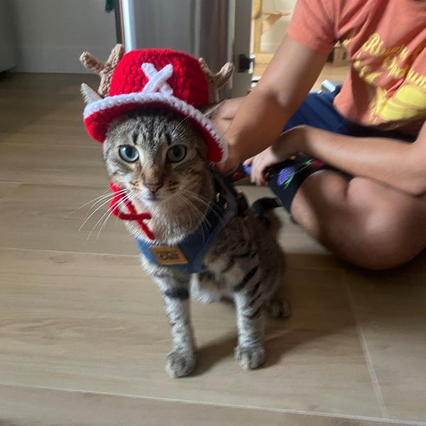 One Piece Anime Handmade Crochet Hat Tony Chopper Blue & Pink Hat ...