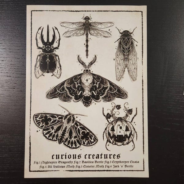 Entomology A4 Print | Gothic Art | Entomology Art | Beetle Artwork | Gothic Architecture ...