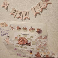 Human Brain Anatomy Bundle, Printable Homeschool Curriculum Preschool ...