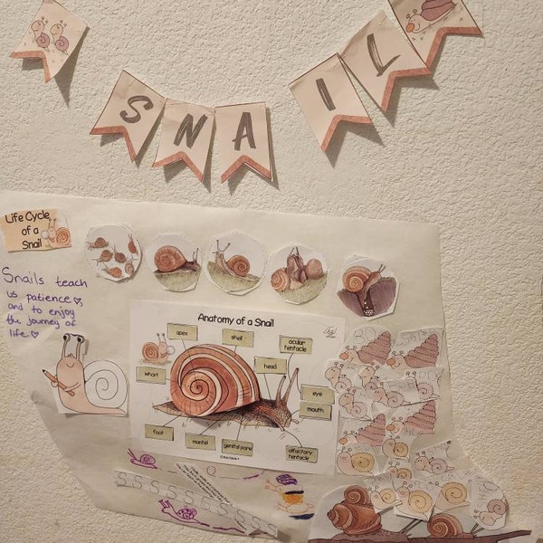 Snail Unit Study Charlotte Mason Spring Printable Worksheets Preschool ...