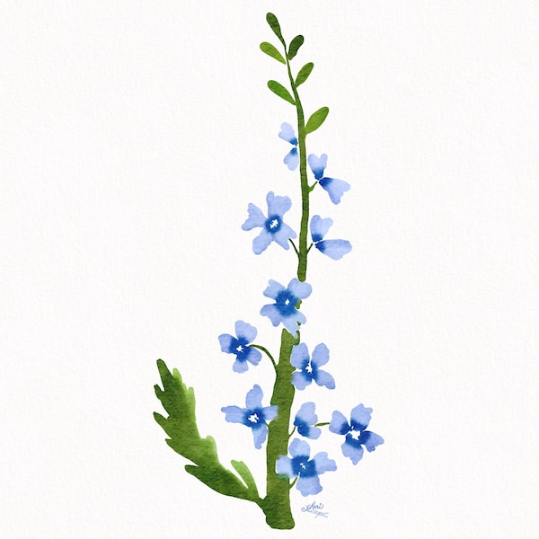 Rough & Dreamy Watercolor Kit for Procreate 2026 - Etsy