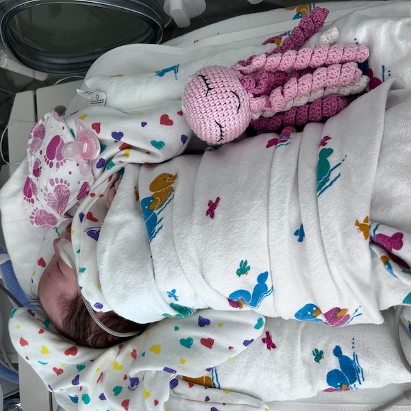 NICU Developmental Heart|scented Heart|bonding Heart|inspirational ...