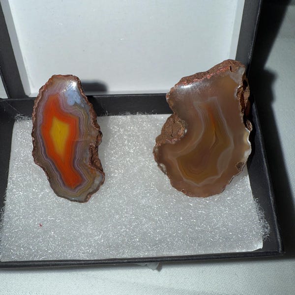 I LICK ROCKS Sticker Funny Rock Stickers Agate Dad - Etsy