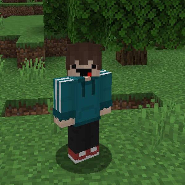 Custom Minecraft Skin - Etsy