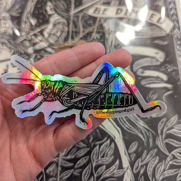 The Queen's Banner | Linocut Print of Medieval Queen on Linen Banner ...