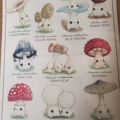 Mushling Identification Print Mushroom Botanical Fine Art - Etsy Canada