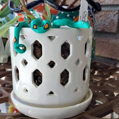 Clay Snake Flower Pot Decor, Houseplants , Polymer Clay, Potted Plants ...