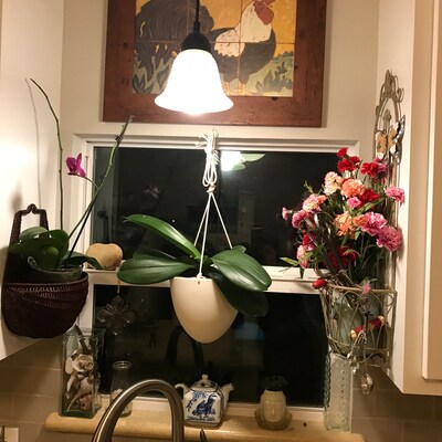 Large Hanging Bullet Planter, Ceramic Porcelain Hanging Planter, White ...