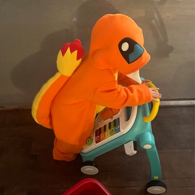 Chinchilla Costume - Etsy