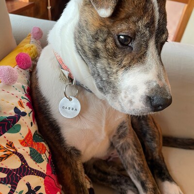 Custom Hand Stamped Dog Tags Simple Handmade Pet Id Tag - Etsy