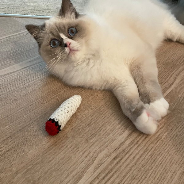 Crochet Catnip Doobie Toy, Novelty Cat Gag Gift - Etsy