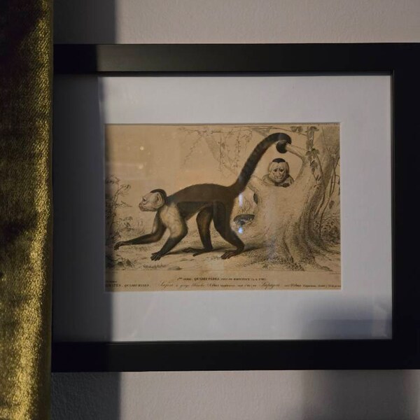 1897 Antique Map of Palestine Jerusalem Israel Holy Land Larousse Print ...