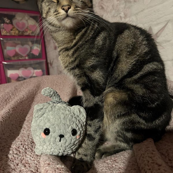 Blueberry Plush - Super Soft Cute Crochet Amigurumi - Cuddly Toy ...