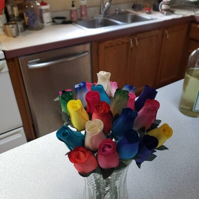 SHELL BRA Costume Clam Luau Mermaid Bikini Top Plastic Laby - Etsy