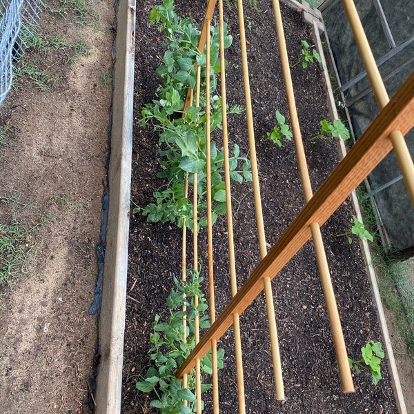Hardwood Trellis - A Frame, 4ft and 6ft Plant Playground, Fun for ...