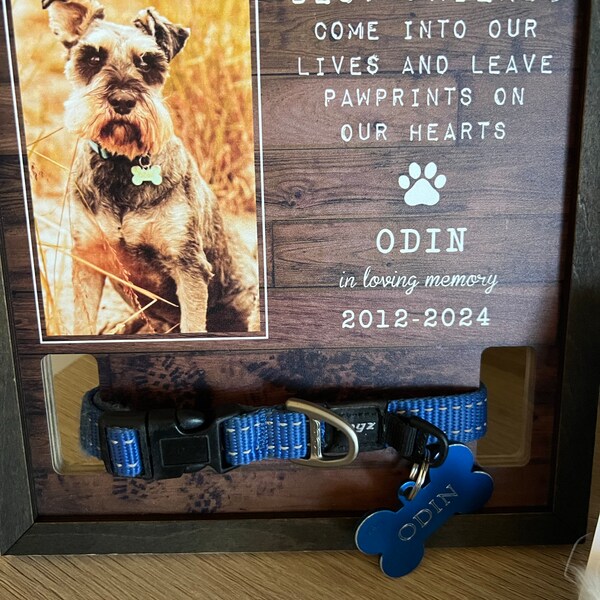 12 Styles Seashell Mirror Hand Mirror Ocean Vortex Natural Seashell ...