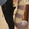 Red Panda Tail Pattern [PDF DOWNLOAD] - Etsy