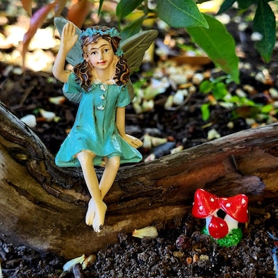 Miniature Hedges Your Color Choice - Etsy