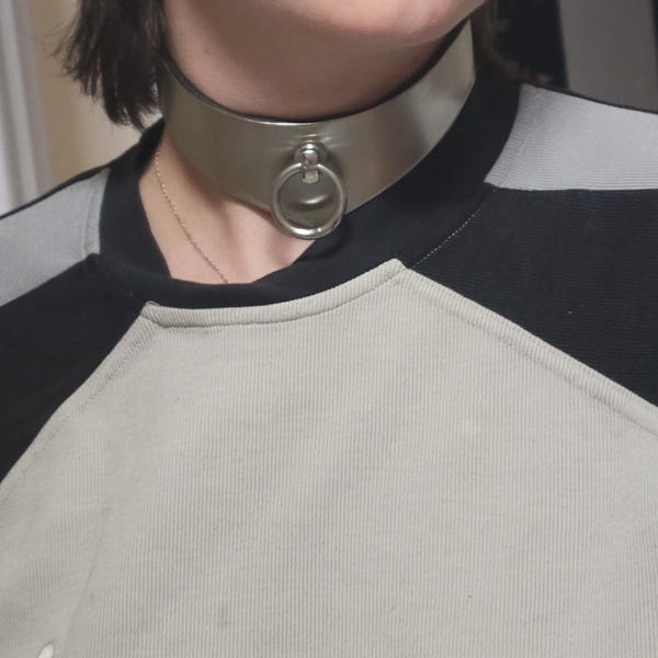 Waist Shackle Lockable Stainless Steel Belt Cincher Adjustable ...