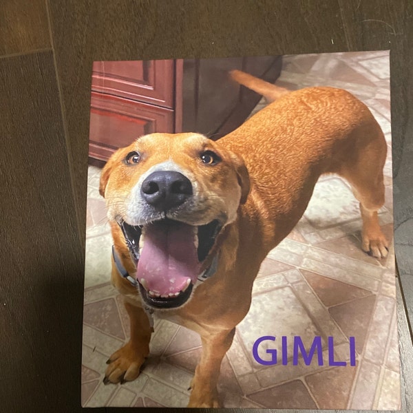 Jungle Powders Organic Peach Powder 5oz Bag/141g, Freeze-dried Peaches ...