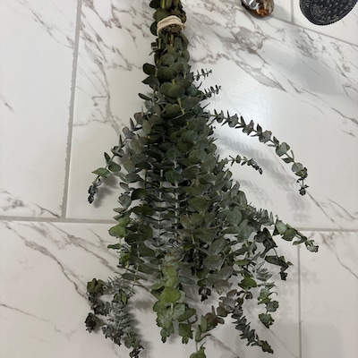 Organic Eucalyptus Lavender Shower Pouches, Hanging Scent Sachets With ...