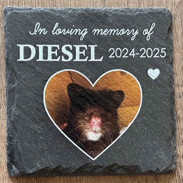 Personalized Rat Memorial Stone, Garden Stone, With Picture, Memorial ...