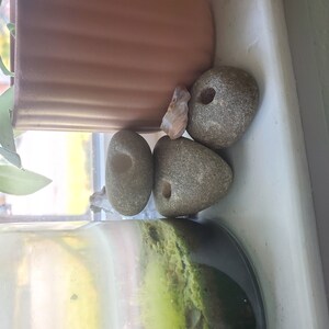 Charming omar Stones Greywacke With Pits. Lake Superior Omarolluk - Etsy