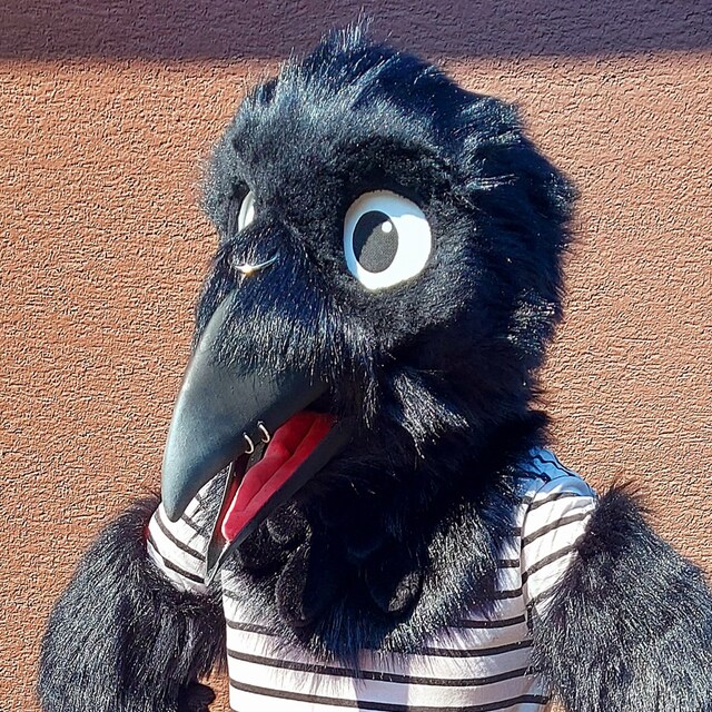 Raven/Crow - 3D printed fursuit head base - www.issipakistan.com