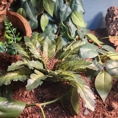 Plastic Moss Pads: Artificial Aquarium Plants Reptile Terrarium Plants ...