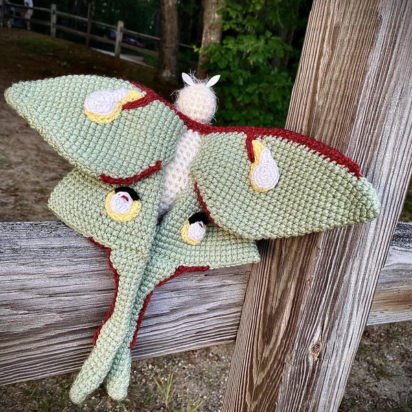 Luna Moth Crochet Pattern ~ Amigurumi PDF Patterns ~ ENGLISH ...