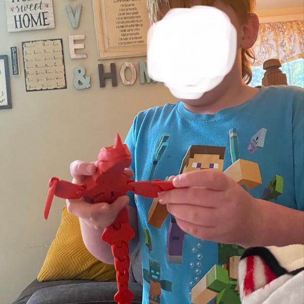 Articulated 3D Printed Charizard Fidget Toy - Etsy