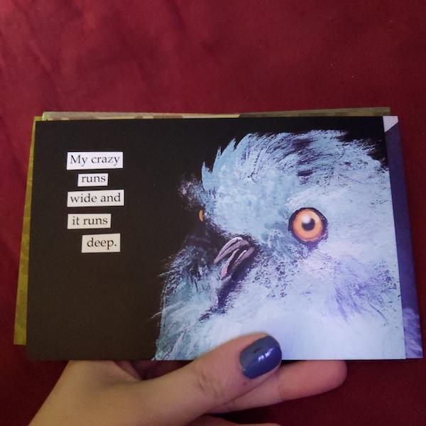 Troubled Bird Postcard Set of 50 - Birds - Animal - Mincing Mockingbird ...