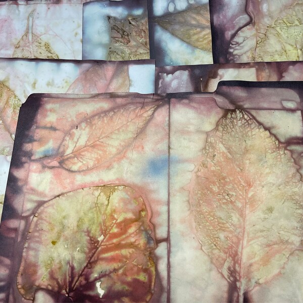 Eco Paper Printing Online Workshop - Etsy
