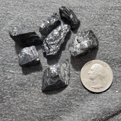 Darwin Evolution Fish Vinyl Decal Sticker DARWIN FISH Vinyl Decal Car ...