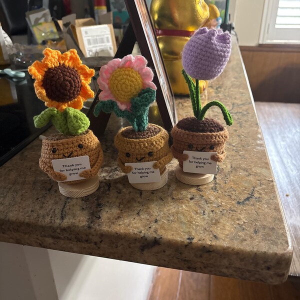 Funny Crochet Chill Pills-emotional Support Pill-chill Pill Fidget ...