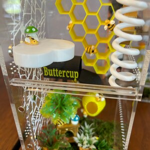 JC Decorated Hexagon Enclosures - Etsy