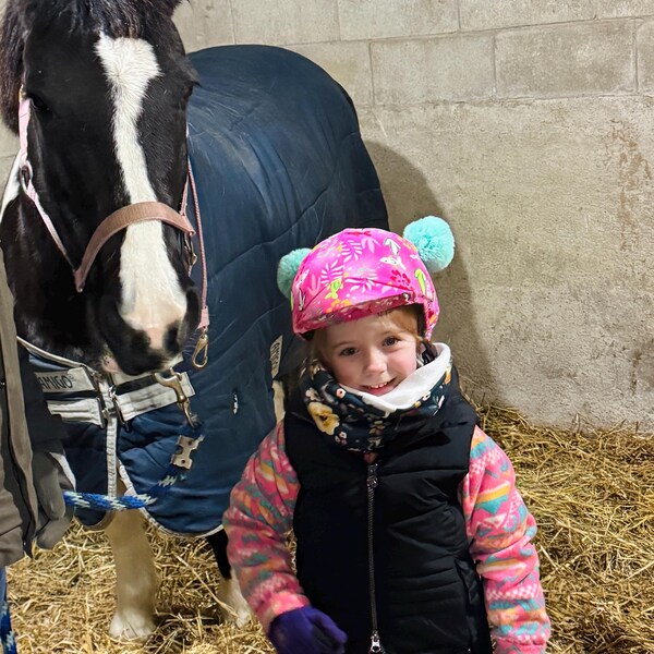 Horse RIDING COVER in Purple & Pink Lycra With Pink Sewn on Faux Fur ...
