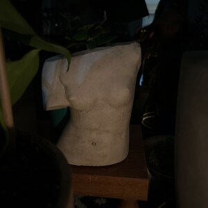 Shakespeare Pot Head - Etsy