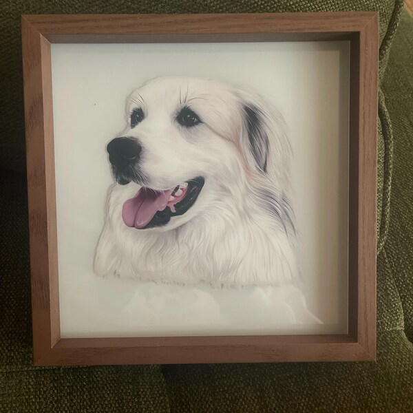 Multi-layered Pet Portraits 2024 Most Creative Pet Portraits Dog ...