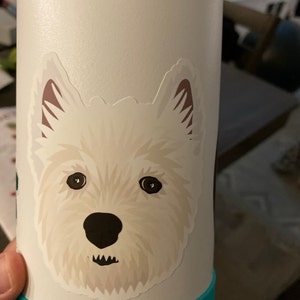 Pi Beta Phi Sticker Pack Pi Phi Sticker Pack Pi Beta Phi | Etsy