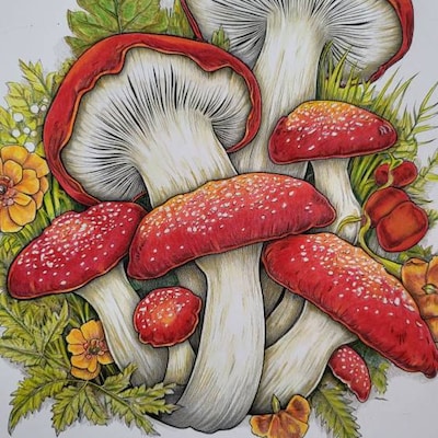 37 Blooming Mushrooms Coloring Book, Printable PDF, Fantasy Floral ...