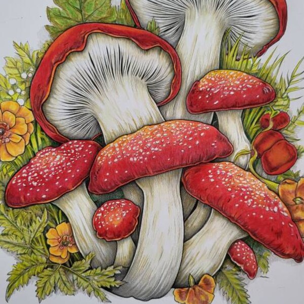 37 Blooming Mushrooms Coloring Book, Printable PDF, Fantasy Floral ...