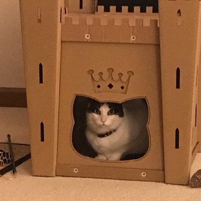 Cat's Fortress Cardboard Cat House - Etsy