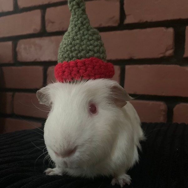Crochet Elf Hat for Small Pets: Handmade Guinea Pig, Hamster, Cat ...